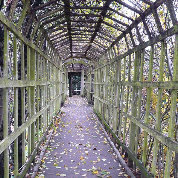 Behind the scenes: Arbour