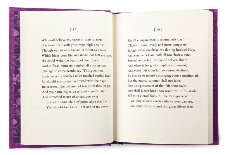 The Mysterious Identity of the 'Fair Youth'